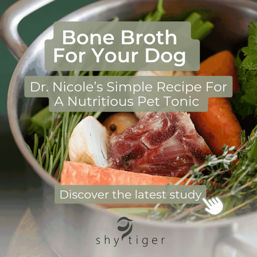 Dr. Nicole's Recipe for Bone Broth – Shy Tiger Natural Animal Health