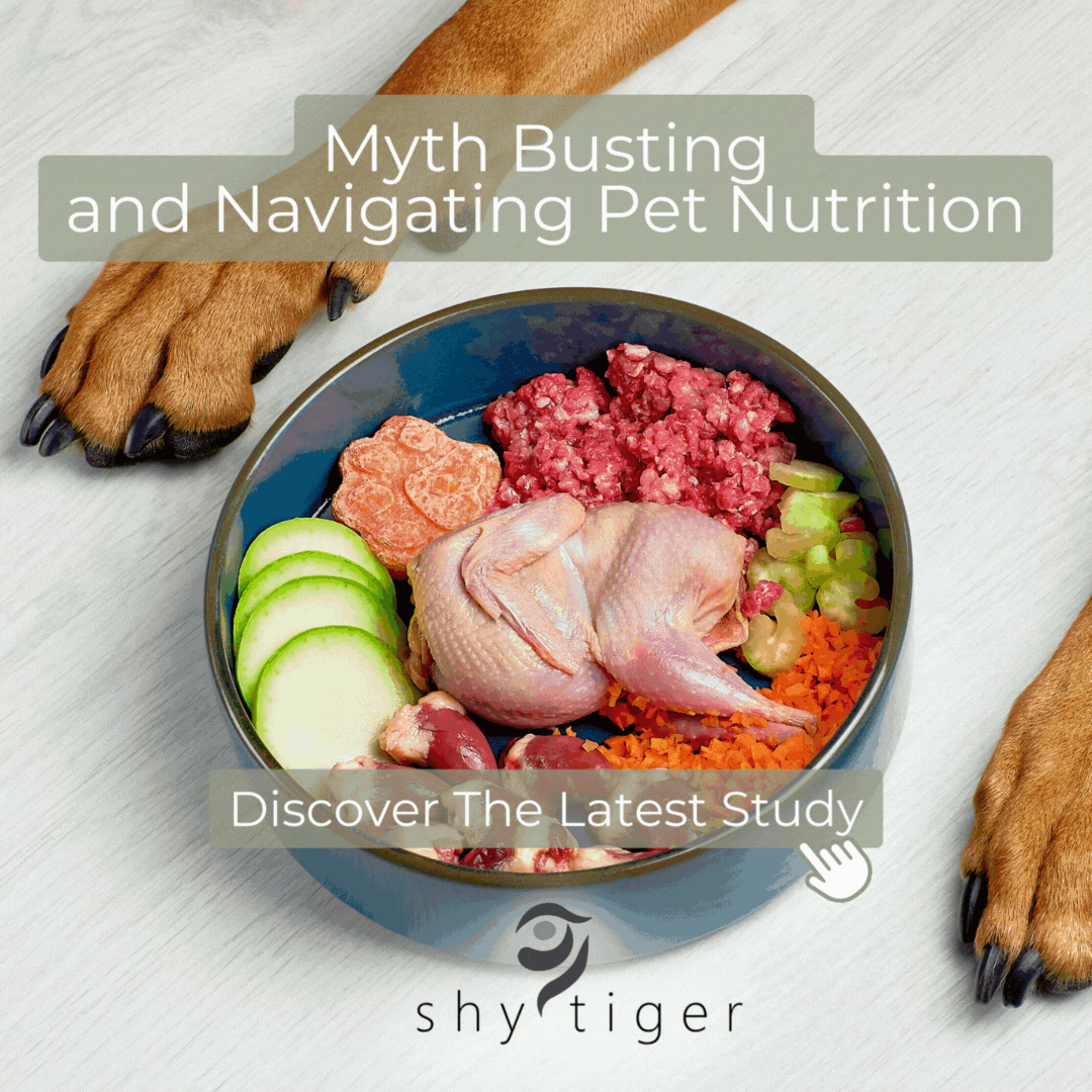 Myth Busting Pet Nutrition| Shy Tiger