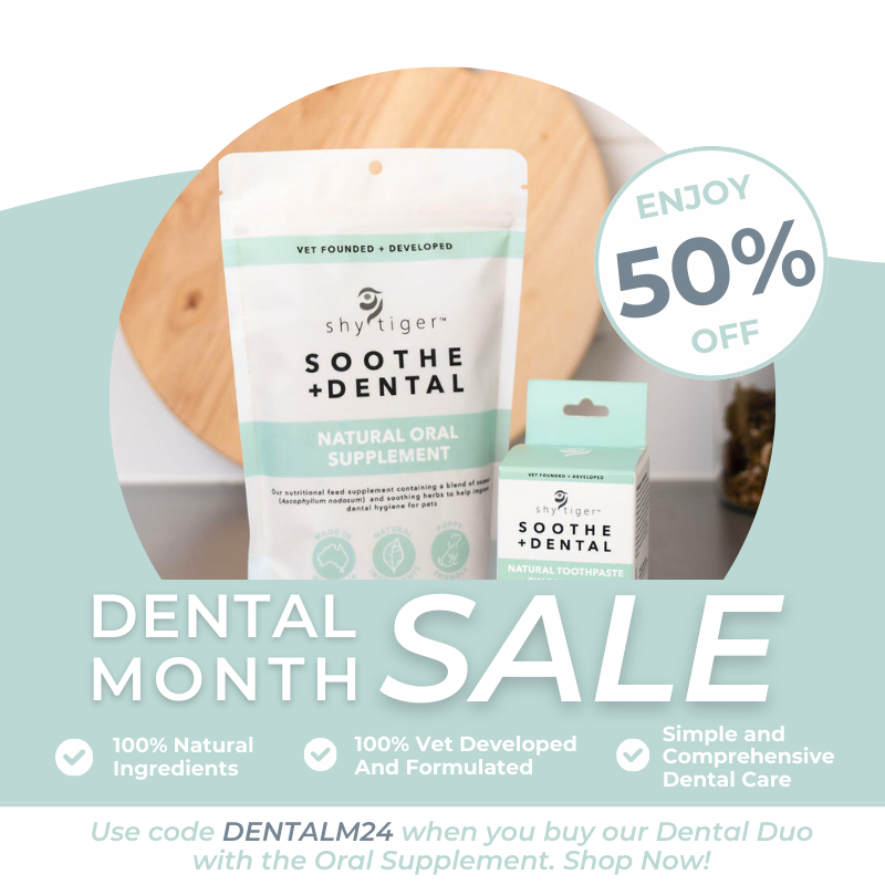 Natural Animal Health | Shy Tiger