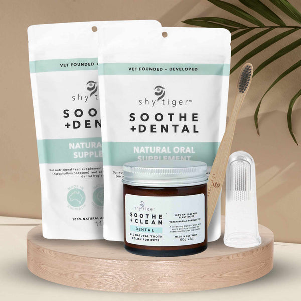Dental Kit| Shy Tiger