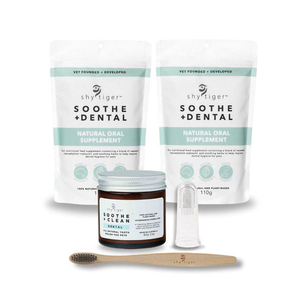 Dental Kit| Shy Tiger
