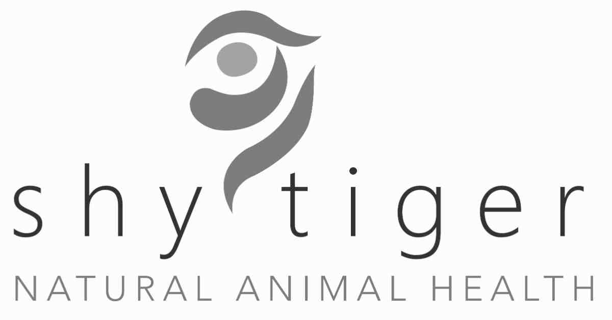 Natural Animal Health | Shy Tiger – Shy Tiger Natural Animal Health