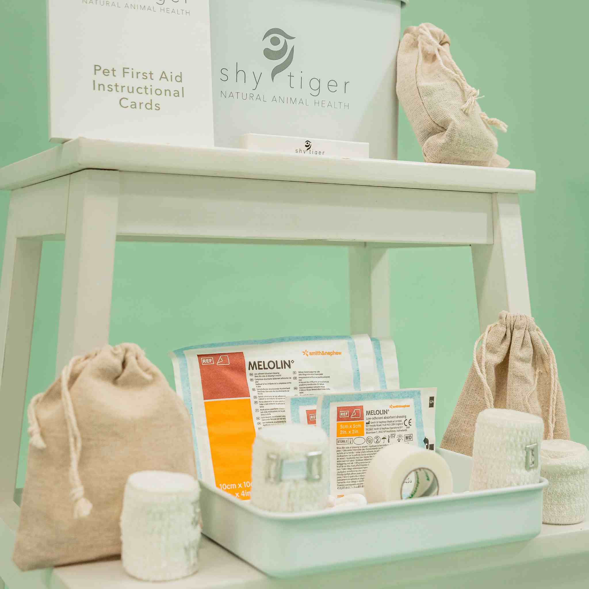 Impact of Diet on Dog's Health| Shy Tiger