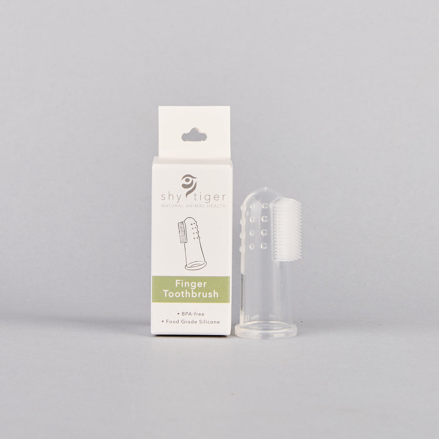 Natural Animal Health | Shy Tiger – Shy Tiger Natural Animal Health